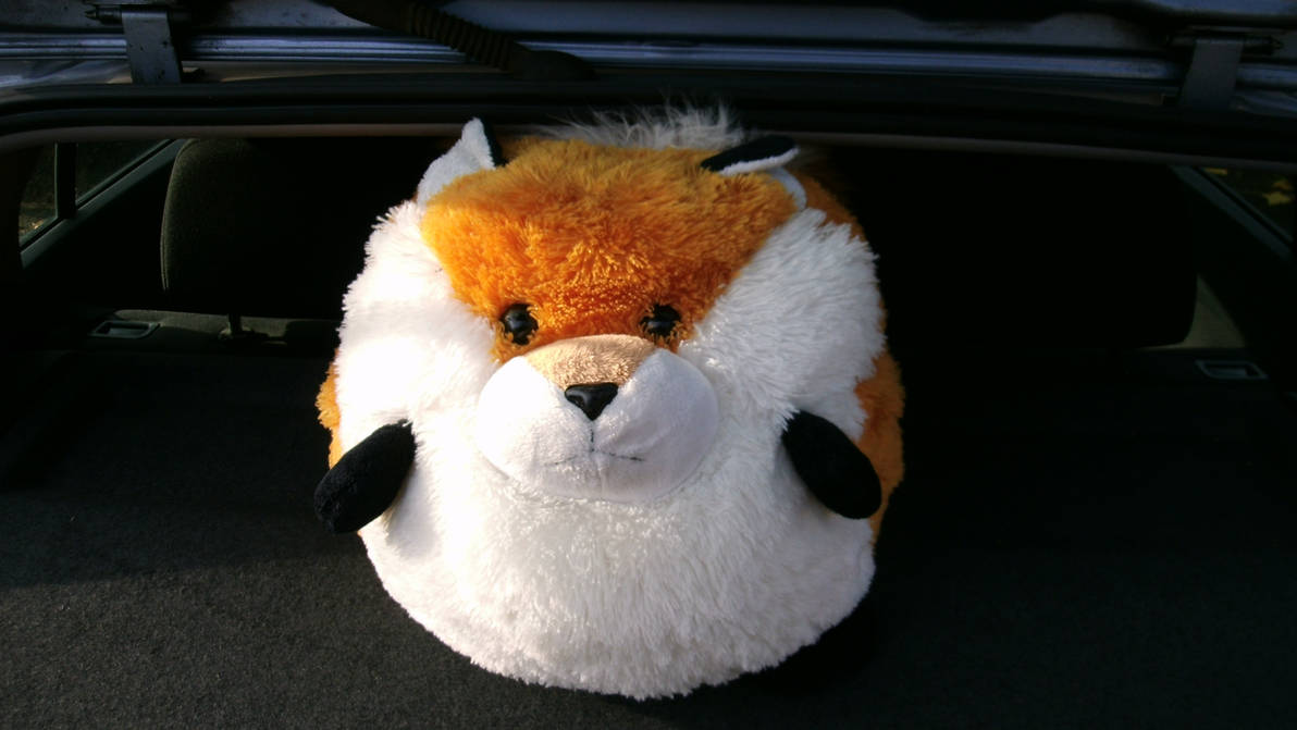 Fox Ball By Askabanium On Deviantart