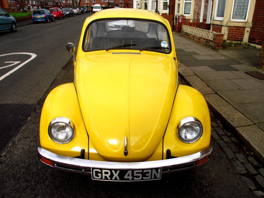 Beetle Bonnet By Ak21626 On Deviantart