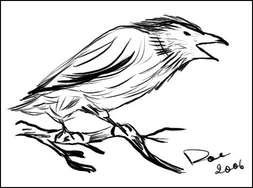 Angry Crow by Totogasm on DeviantArt
