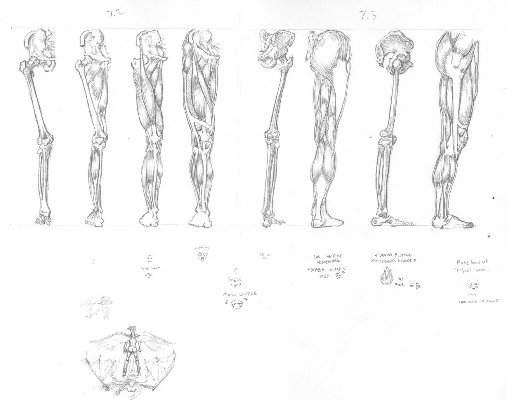 Leg Bone s Connected To By Alesyira On DeviantArt leg-bone-s-connected-to-by-alesyira-on-deviantart