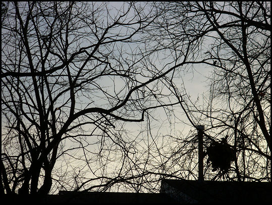 Neighbourhood Silhouette by TearsRunDry on DeviantArt