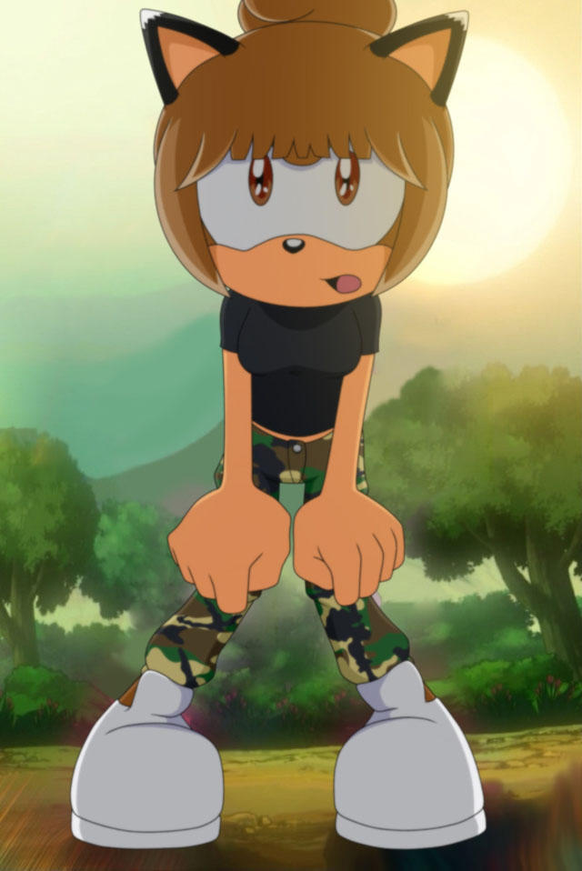 Sonic X Recolor Gis By Recolouradventures On Deviantart