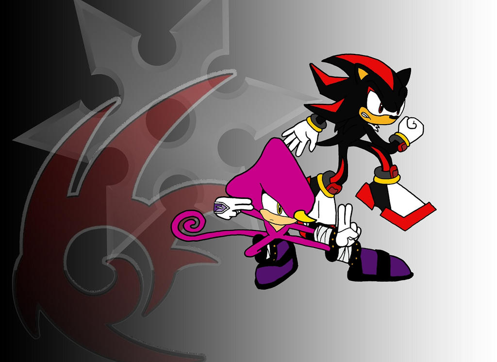Shadow And Espio By Shadow And Espio On Deviantart