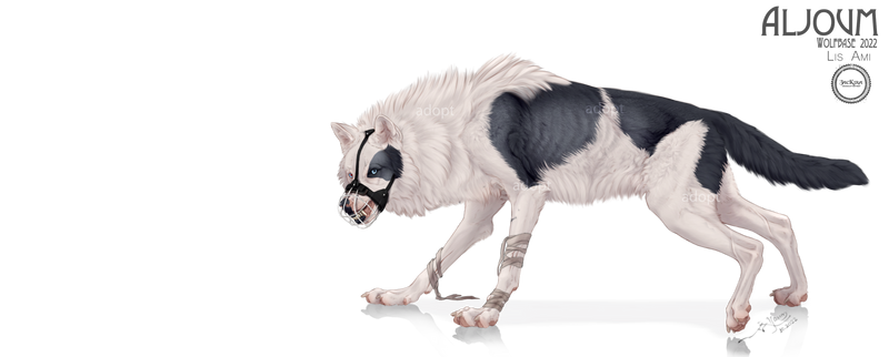Wolf Adopt Closed By Jackkiras On Deviantart