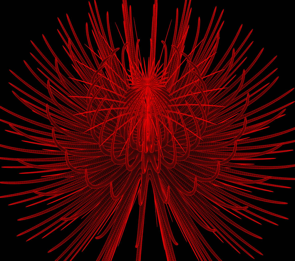 wireframe - red rose by mendipbus on DeviantArt