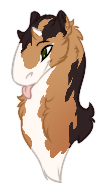 Minus Fp Tracker By Shadowmagpie On Deviantart