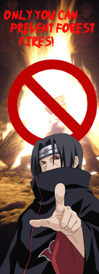 forest fires by strawberry-usagi101 on DeviantArt