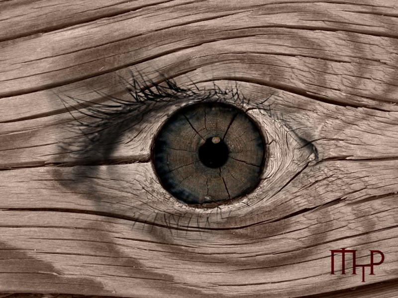 Wodden View by MtPvonExplodingArt on DeviantArt