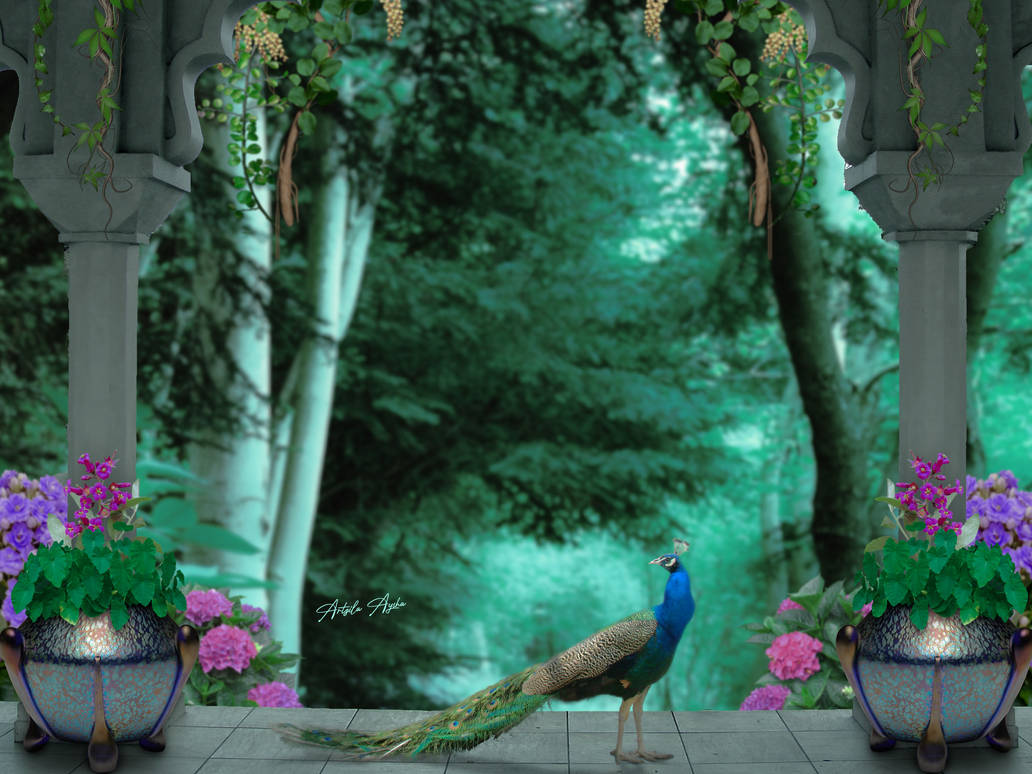 Peacock Png By Lg Design On Deviantart