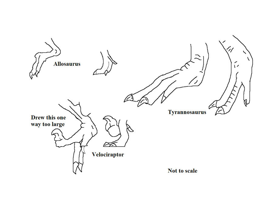 Dinosaur Foot Study By Aristodes On DeviantArt dinosaur-foot-study-by-aristodes-on-deviantart