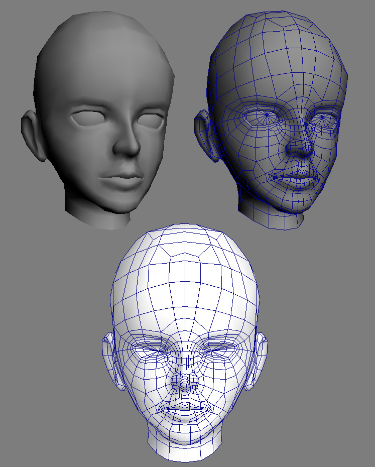 Head Edge Loop Example by Athey on DeviantArt
