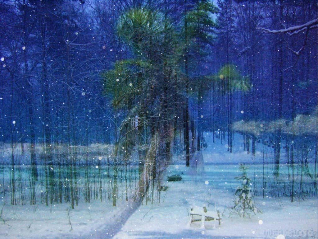 Snowing on a Sunny Day by Snap-dragon-fly on DeviantArt