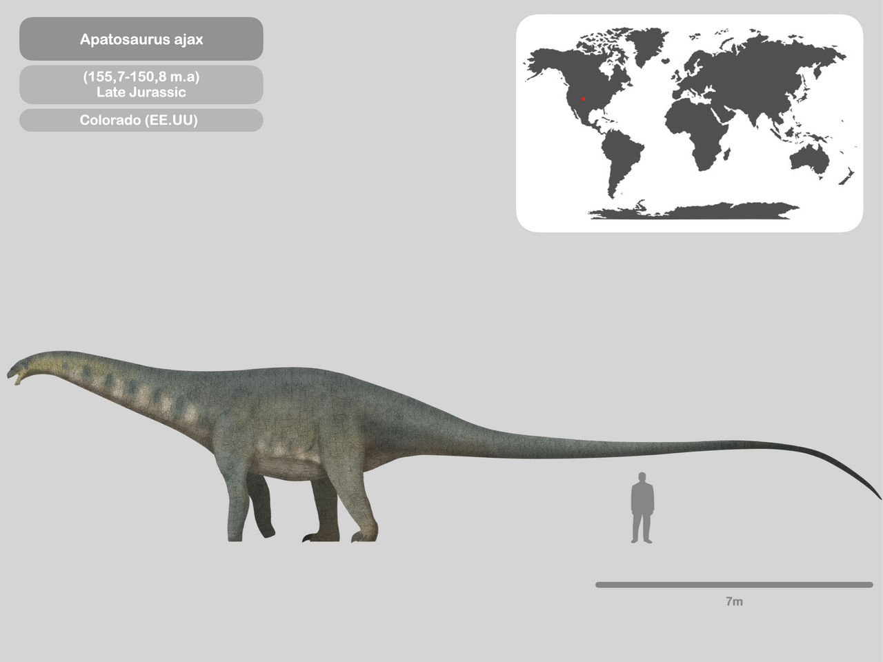 Perfil apatosaurus ajax by PaleoHistoric on DeviantArt Perfil apatosaurus ajax by PaleoHistoric on DeviantArt