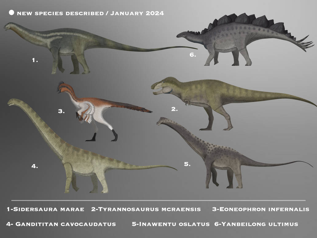 New Species described / January 2024 by PaleoHistoric on DeviantArt New Species described / January 2024 by PaleoHistoric on DeviantArt