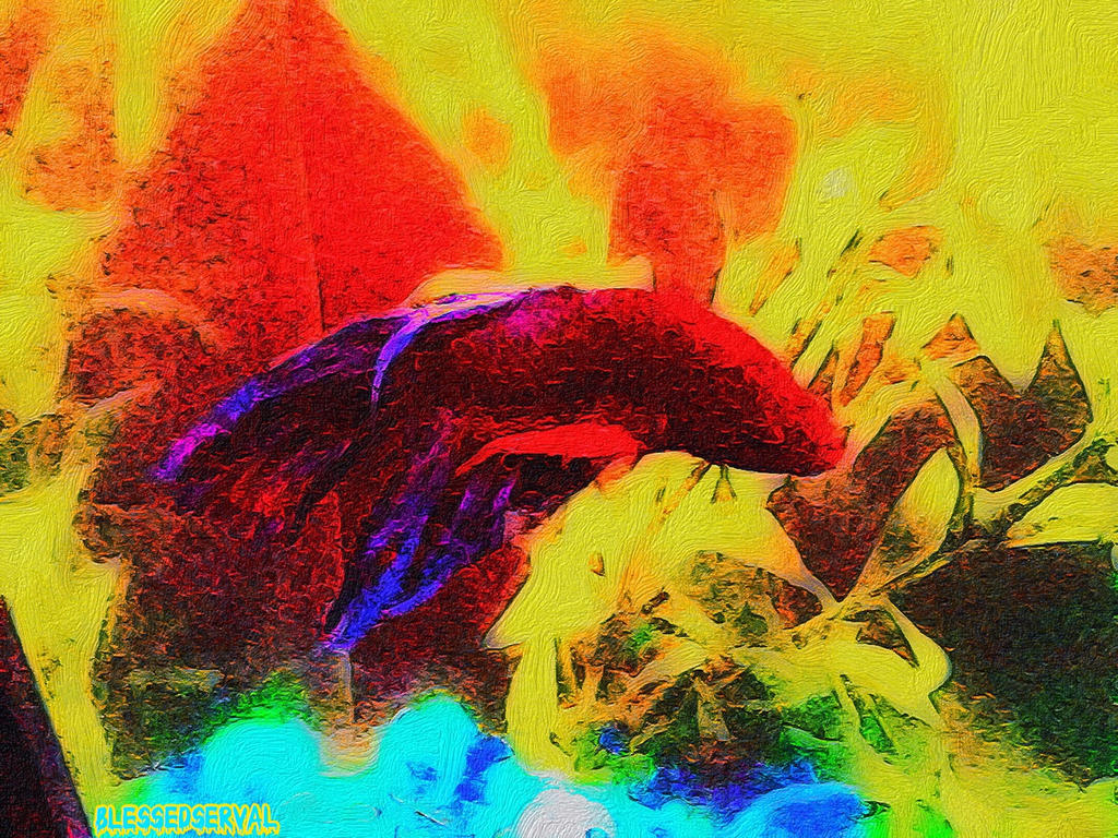 Neon Fish By BlessedServal On DeviantArt neon-fish-by-blessedserval-on-deviantart
