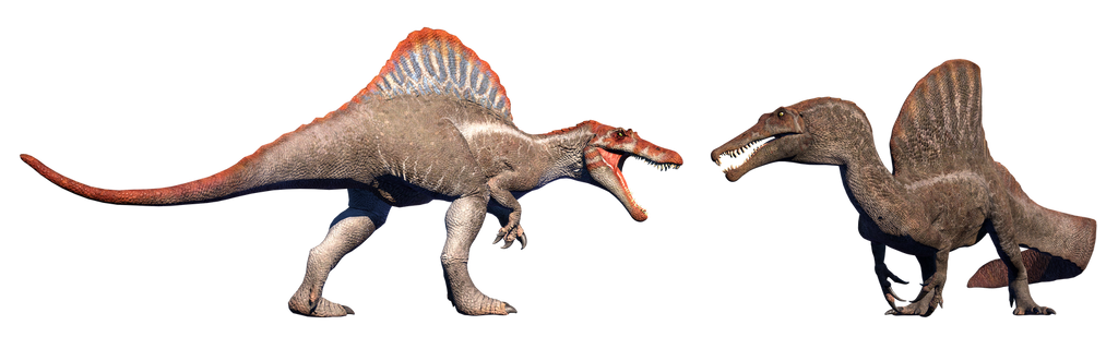 Ingen Spinosaurus Meets Ancestor Spinosaurus By Bonnerscar On Deviantart