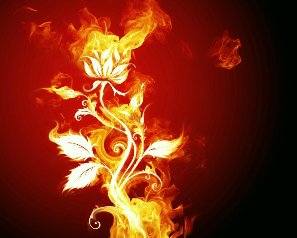 Sexy Roses By Harji On Deviantart