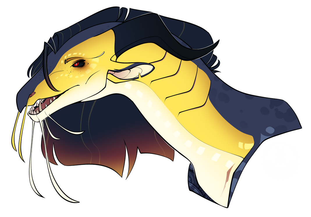 Cajaro By Tarantulahawwk On Deviantart