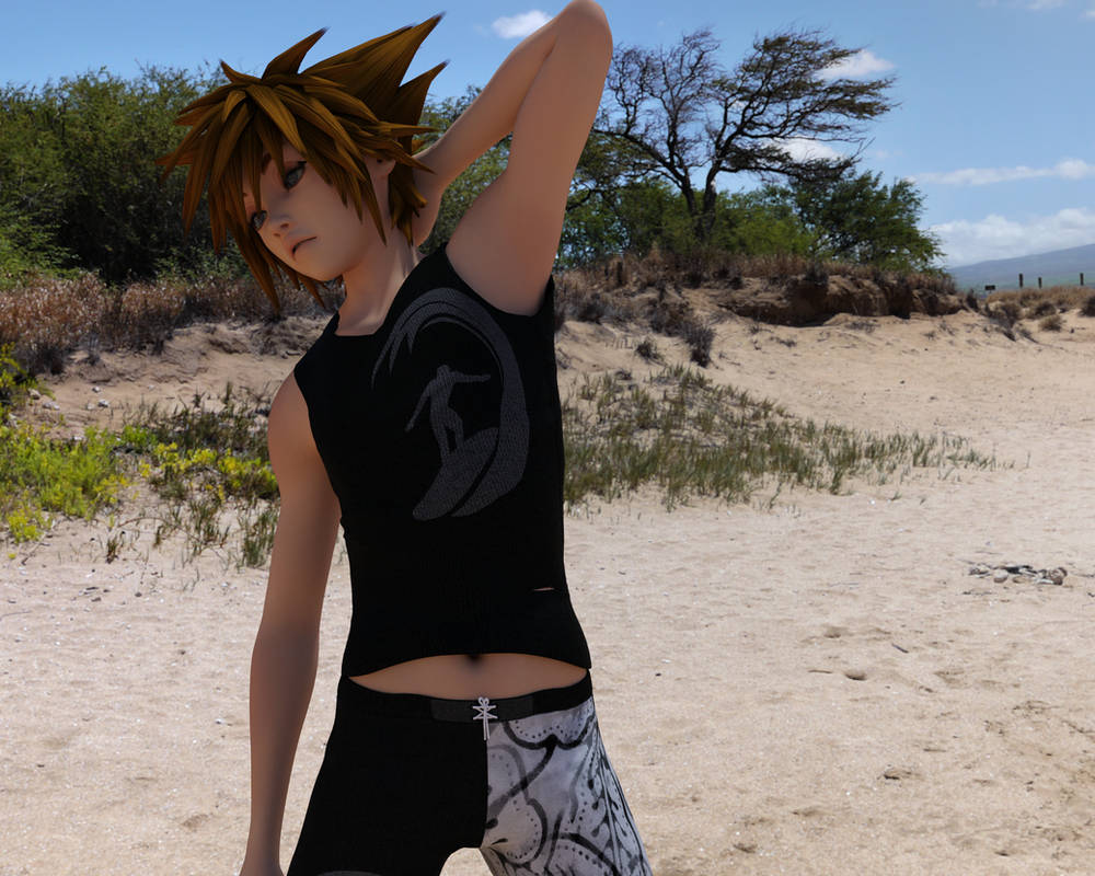 Sora 13 By Zazkinkart On Deviantart