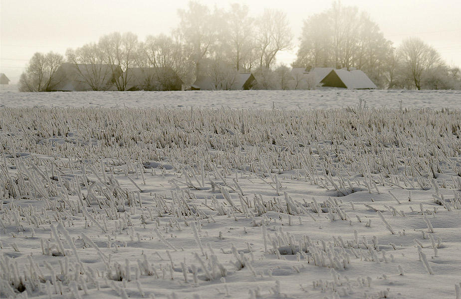 Frozen army by Sauull on DeviantArt