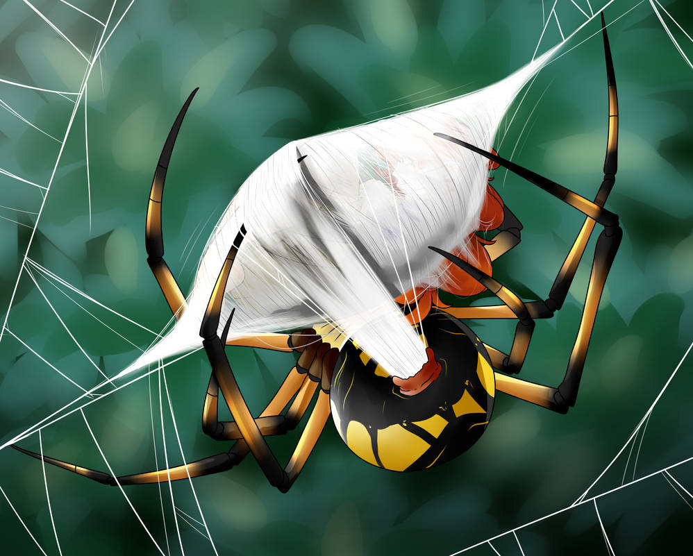 Bundled Up Tight Full Cocoon By Spiderweber On Deviantart