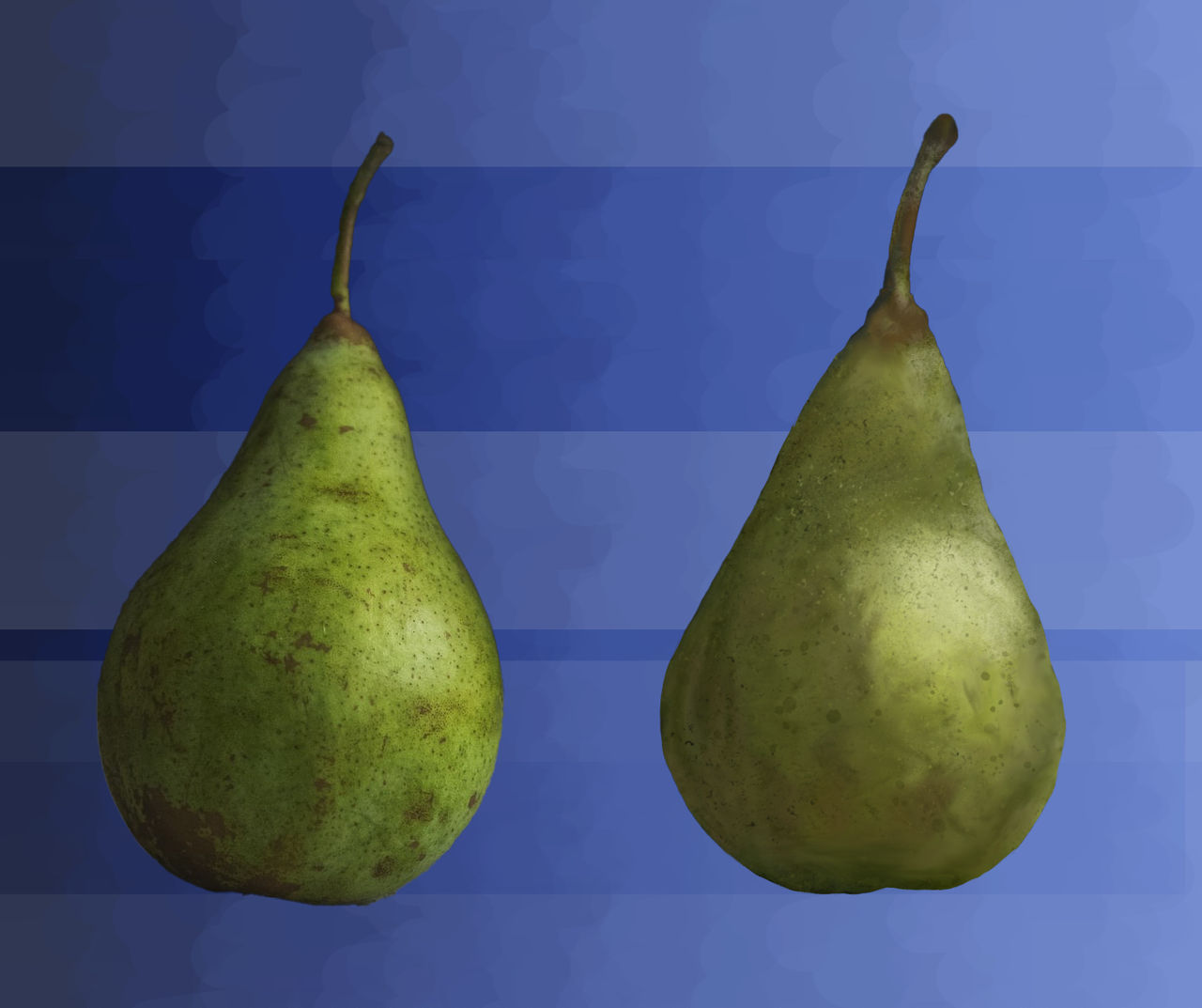 Pear Study Comparison by TandraGlahve on DeviantArt Pear Study Comparison by TandraGlahve on DeviantArt