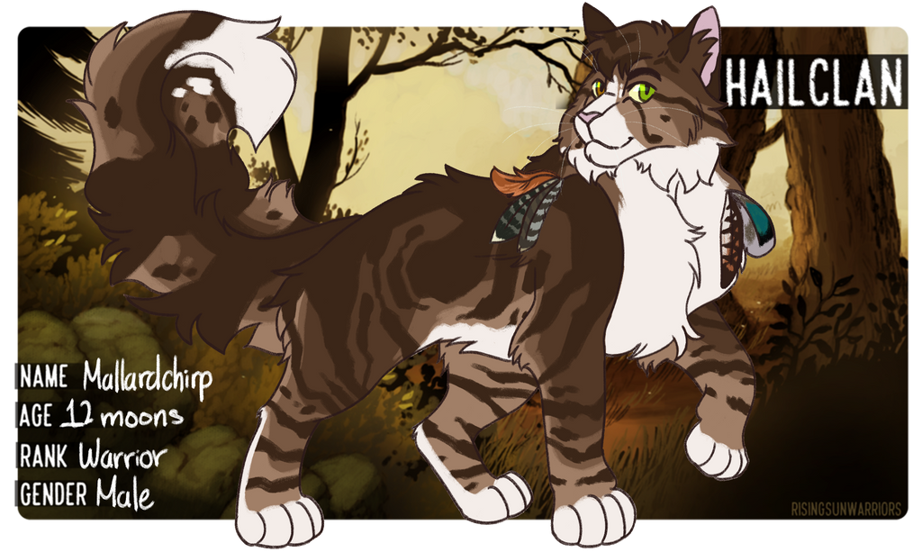 Mallardchirp Application Rsw By Spacecat011 On Deviantart