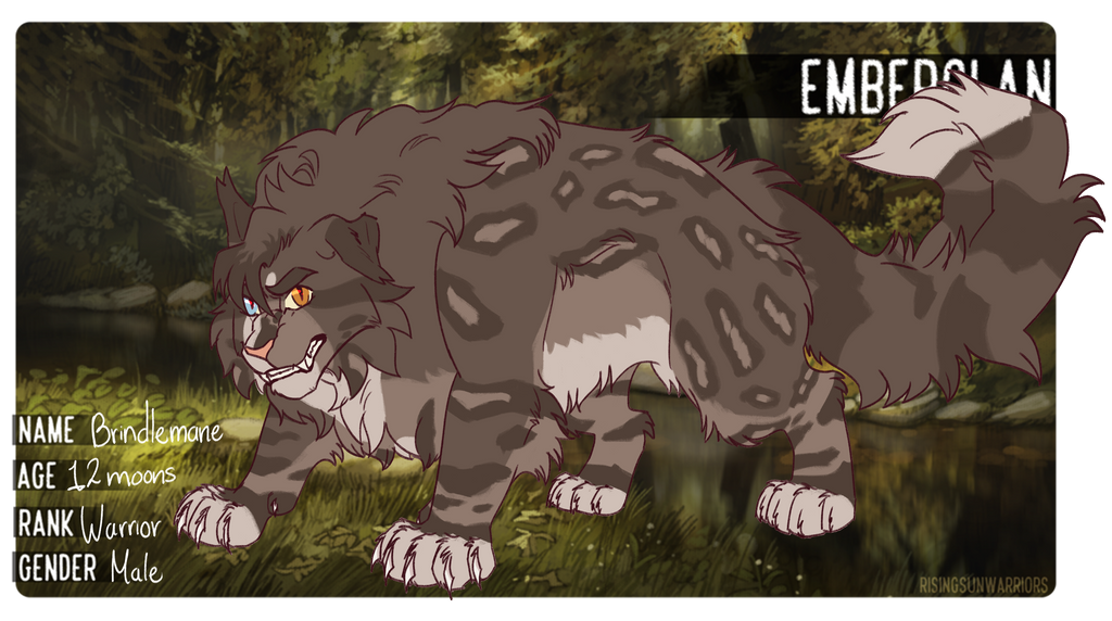 Brindlemane Application Rsw By Spacecat011 On Deviantart