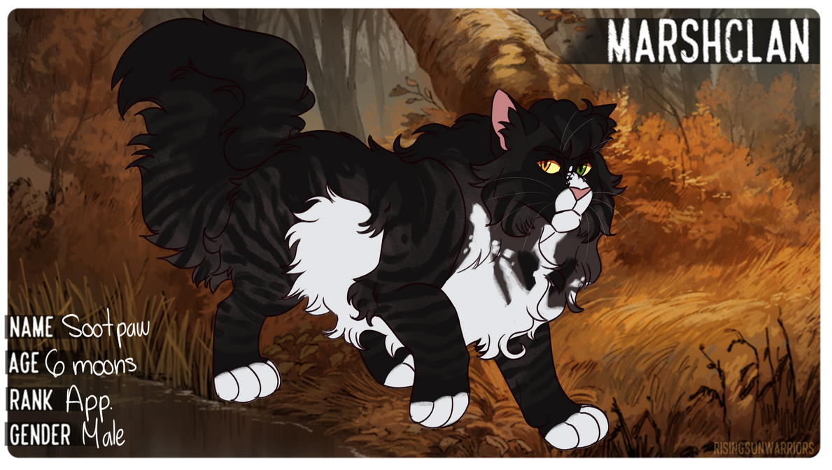 Sootpaw Application Rsw By Spacecat011 On Deviantart