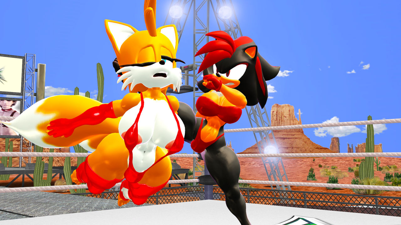 Two Tailed Fox Gets Roundhouse Kicked By Zetareta74092 On Deviantart