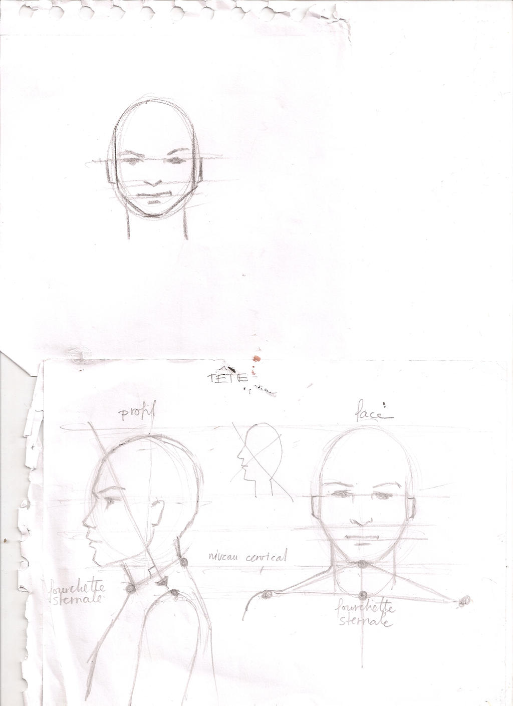 How To 1 How To Draw A Head By MrCrabe On DeviantArt how-to-1-how-to-draw-a-head-by-mrcrabe-on-deviantart