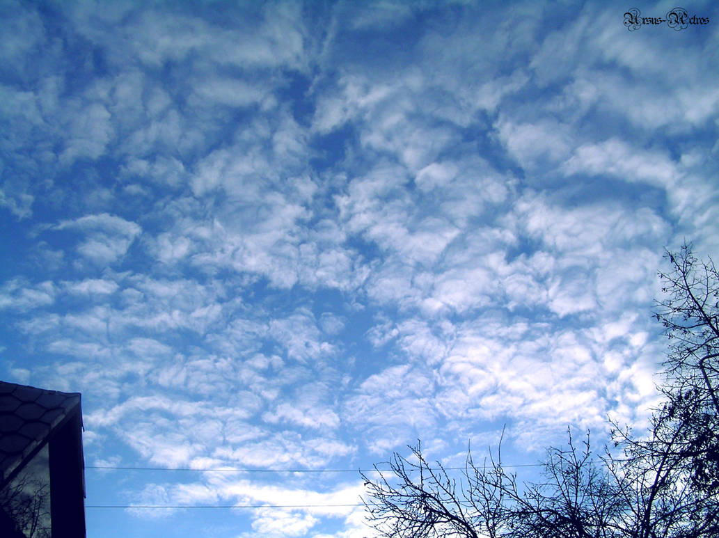Frozen sky by Ursus-Actros on DeviantArt