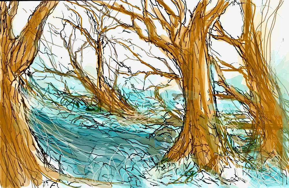 Forest Flood by dmorse523 on DeviantArt