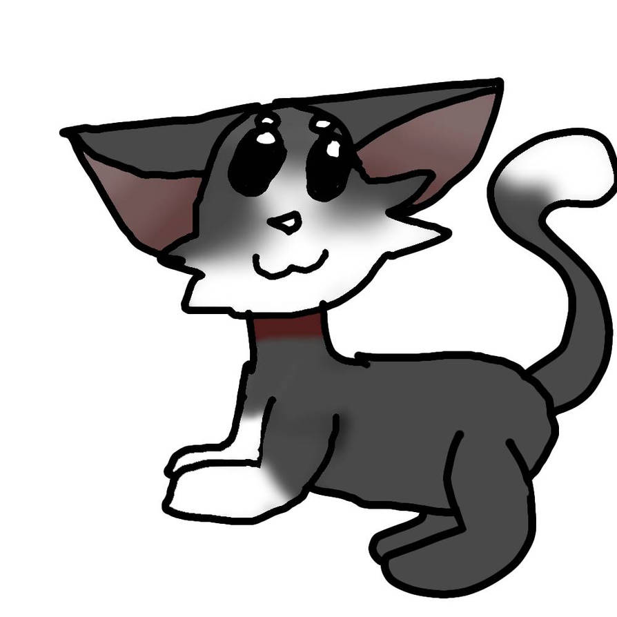 Made My Cat By Koishark99 On Deviantart