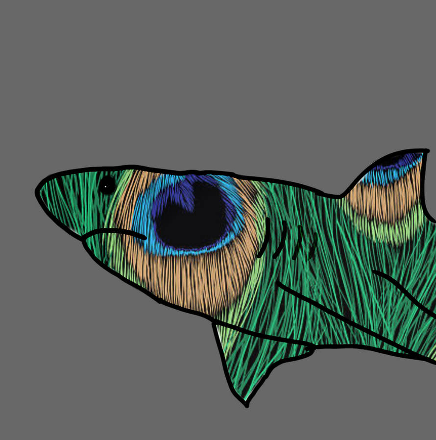 Peacock Shark By Koishark99 On Deviantart