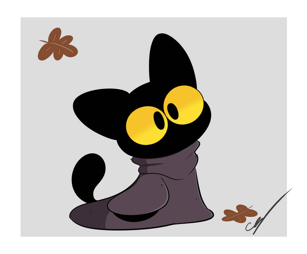 Momo The Magic Cat By Jupiter9099 On Deviantart