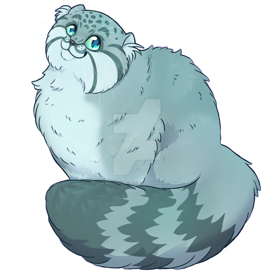 Pallas Cat Floof By Thescorpiondoctor On Deviantart