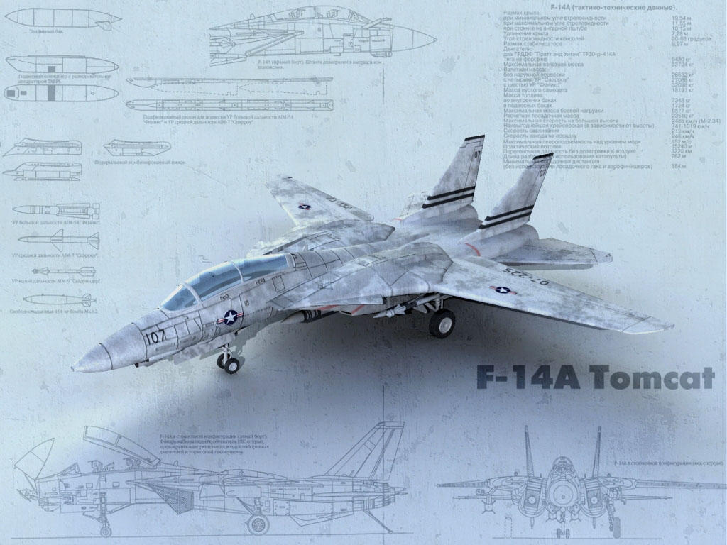 tomcat by santiagocamps on DeviantArt