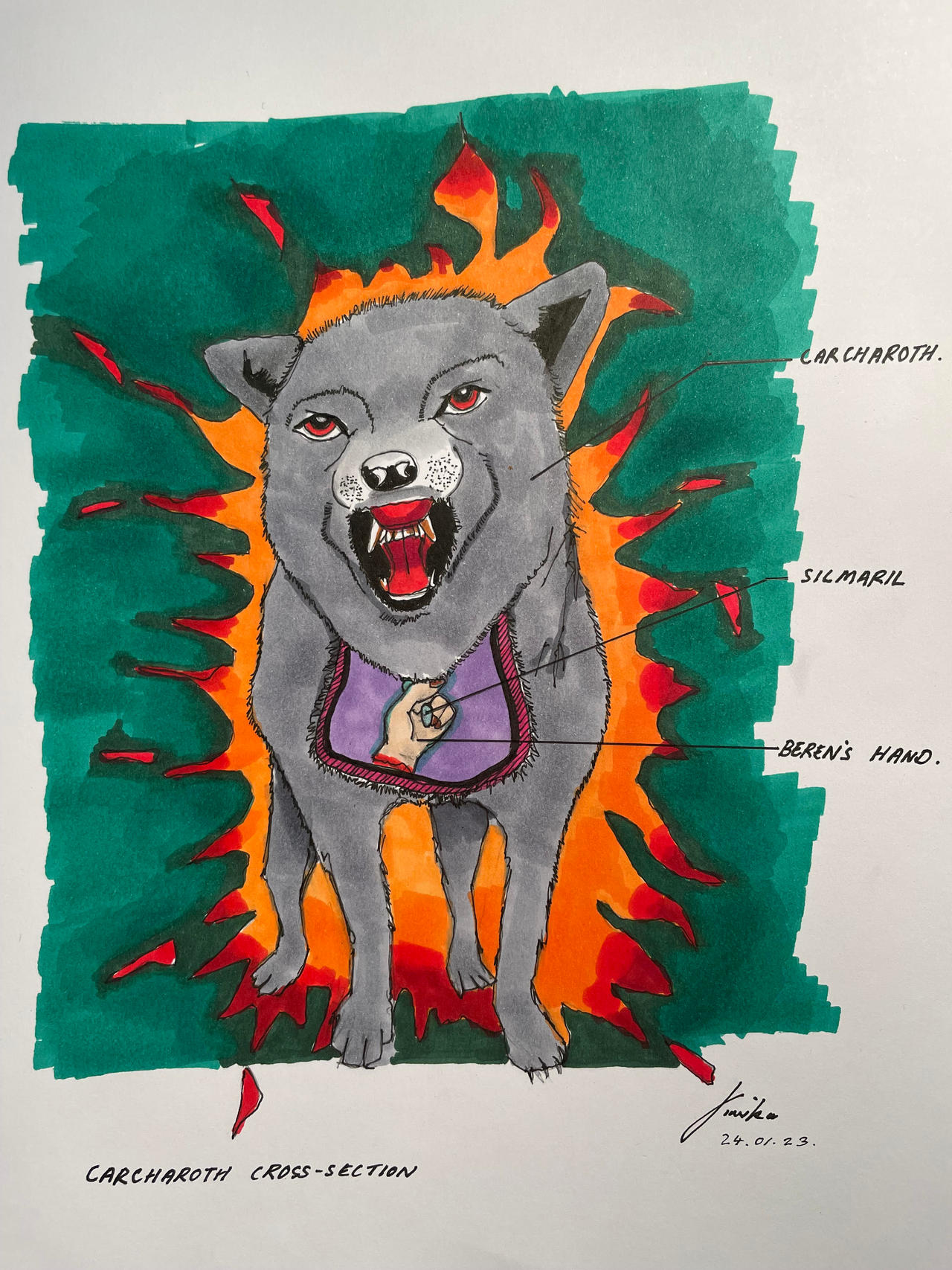 Carcharoth Belly Cross Section By Shinigamiiii On Deviantart