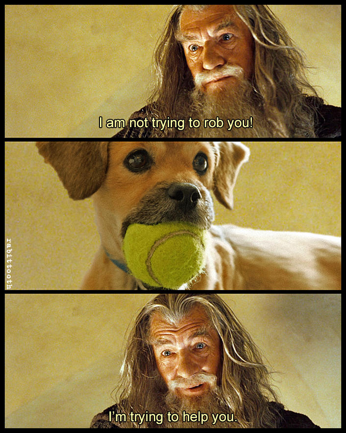 Trying to help you (Meme) by Rabittooth on DeviantArt Trying to help you (Meme) by Rabittooth on DeviantArt