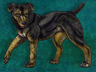 Ellie by psychowerewolf on DeviantArt