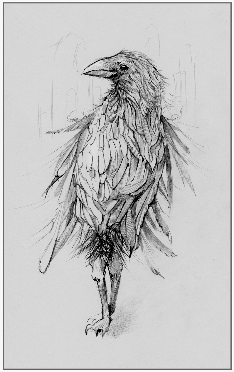 Raven 3 By Mrvaet On Deviantart