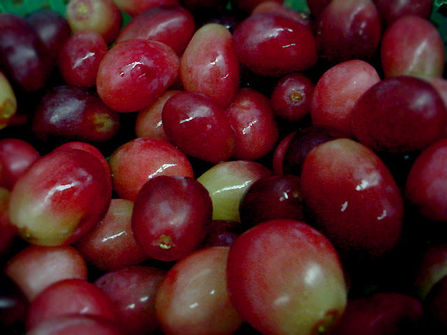 .Grapes. by The-Insomnia-Fairy on DeviantArt