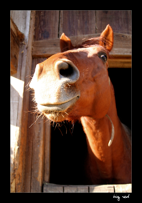 Big Red I by ShadowEsq on DeviantArt