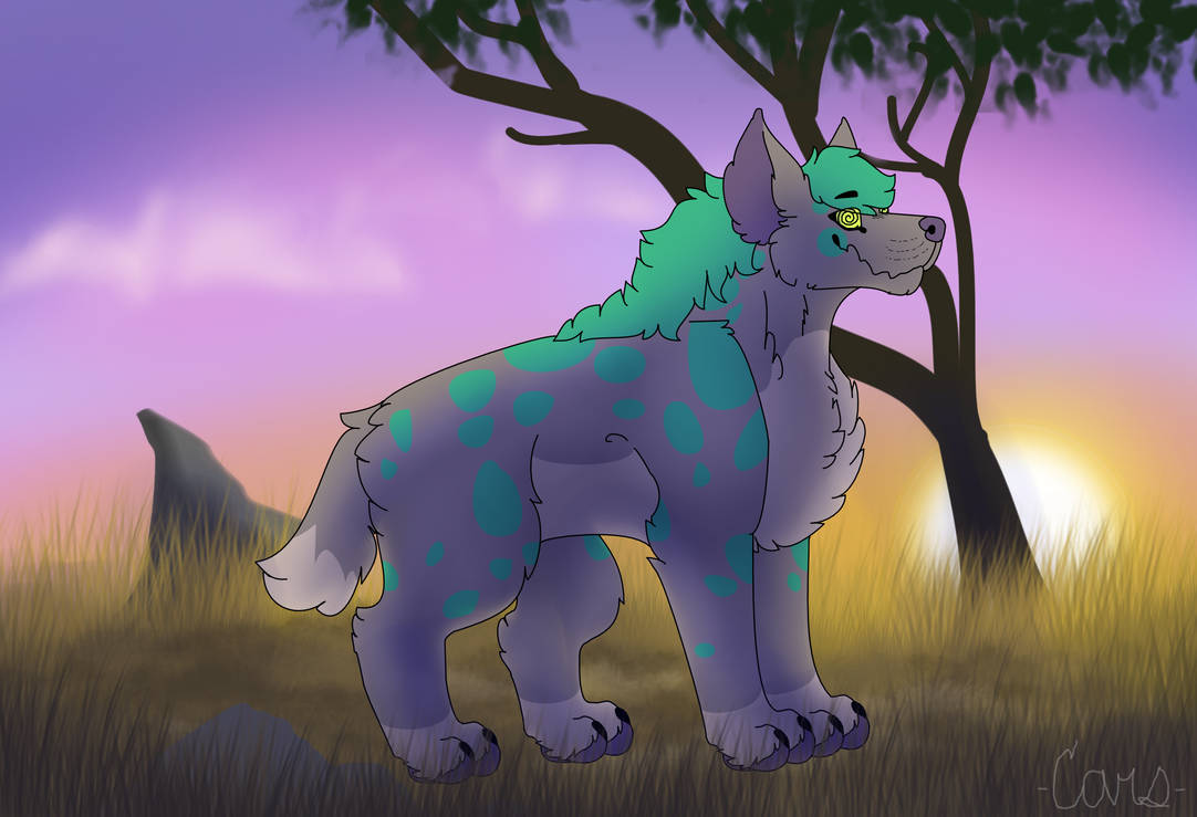 Com Yeen Bean By Maple Wolfbites On Deviantart