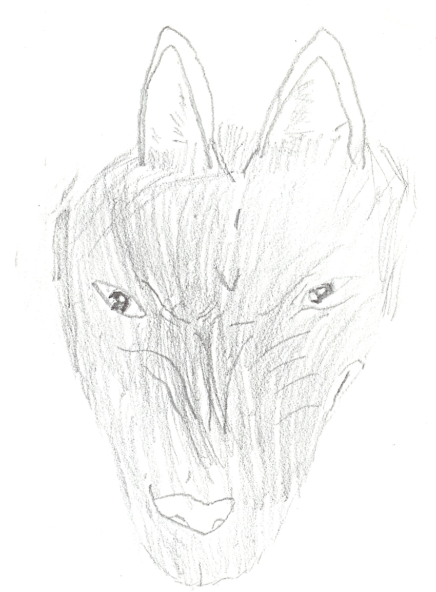 Wolf Mother By Sanmoninoke On Deviantart