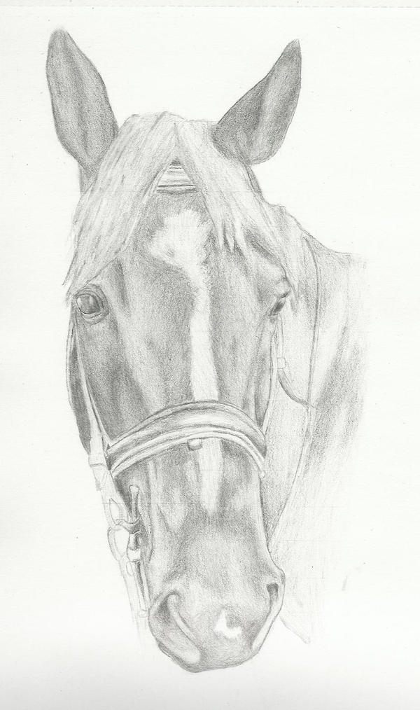 pencil portrait by natalieah on DeviantArt