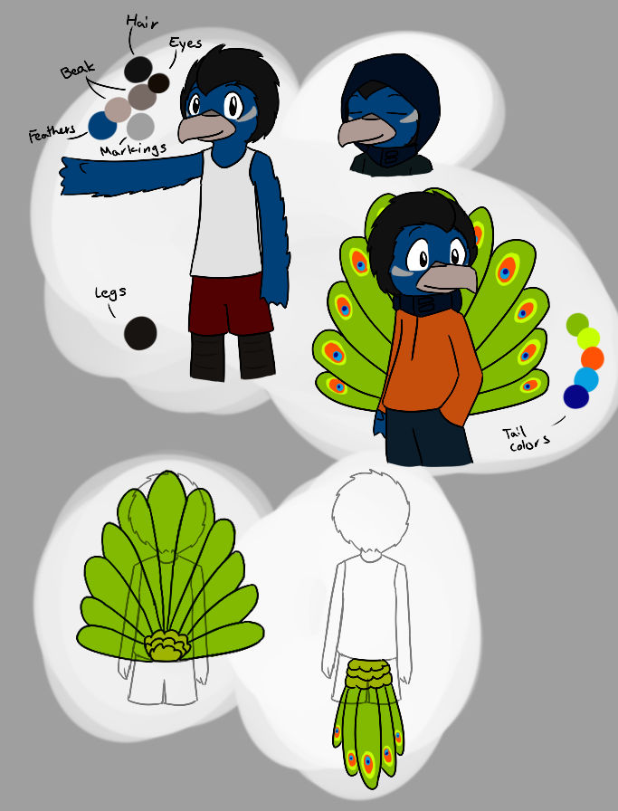 Peacock Fursona Ref By Buizelknight On Deviantart