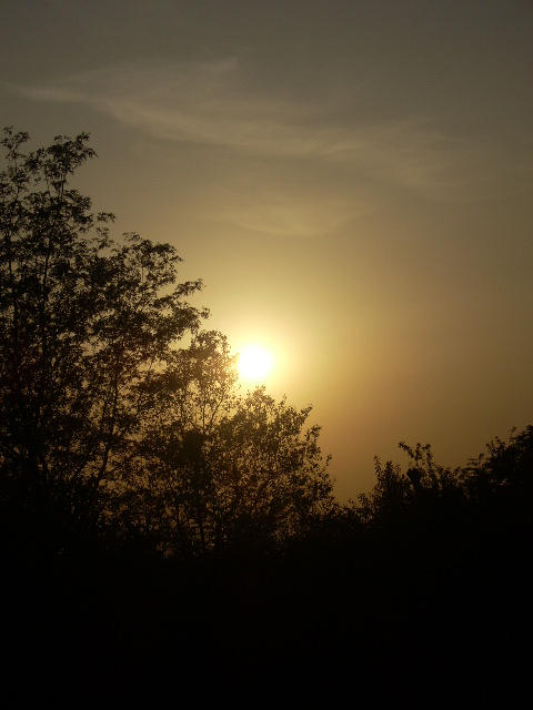 apus........ by blueCurlyHair on DeviantArt