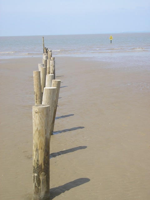 beach sticks by jidledore on DeviantArt